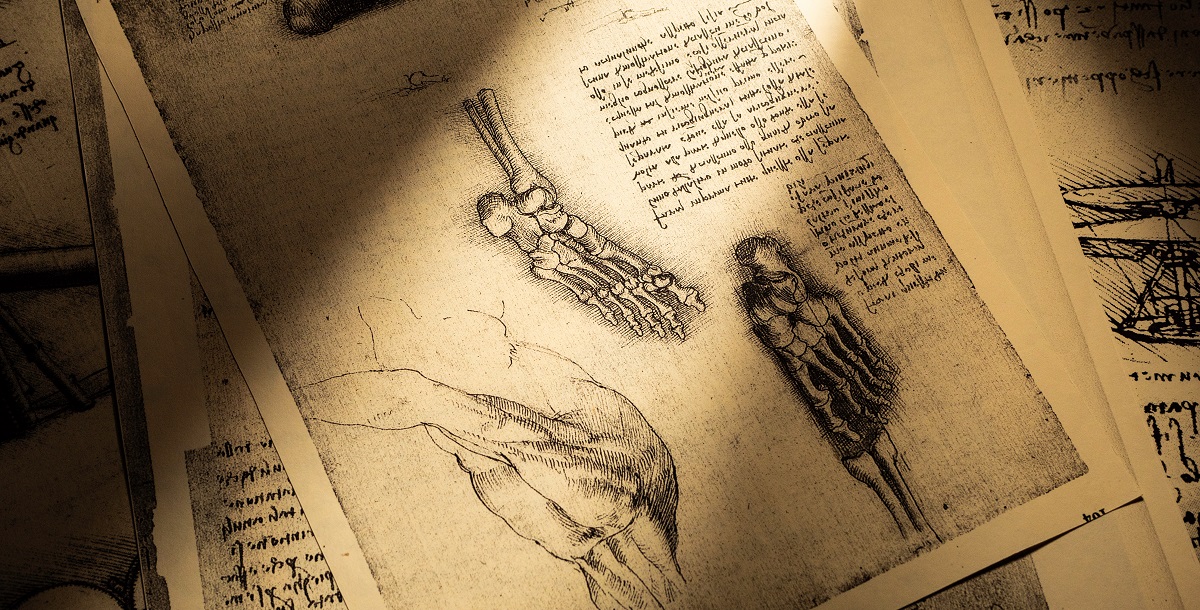 Dissection, croquis… Les travaux anatomiques de Léonard de Vinci ...