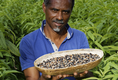 Qui est le Dr Henry Joseph, que Macron a confondu avec le Pr Joyeux ...