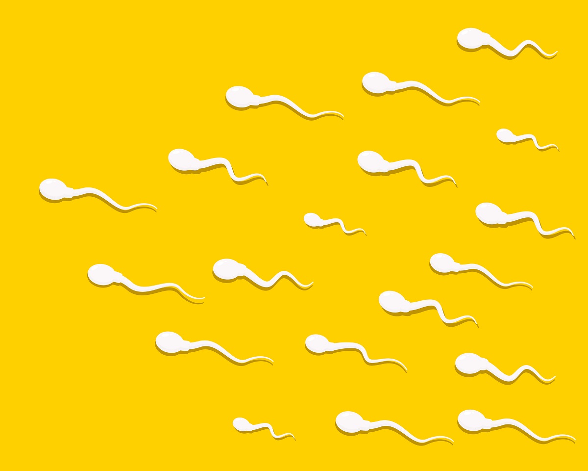 La fertilité masculine en danger ? | Egora
